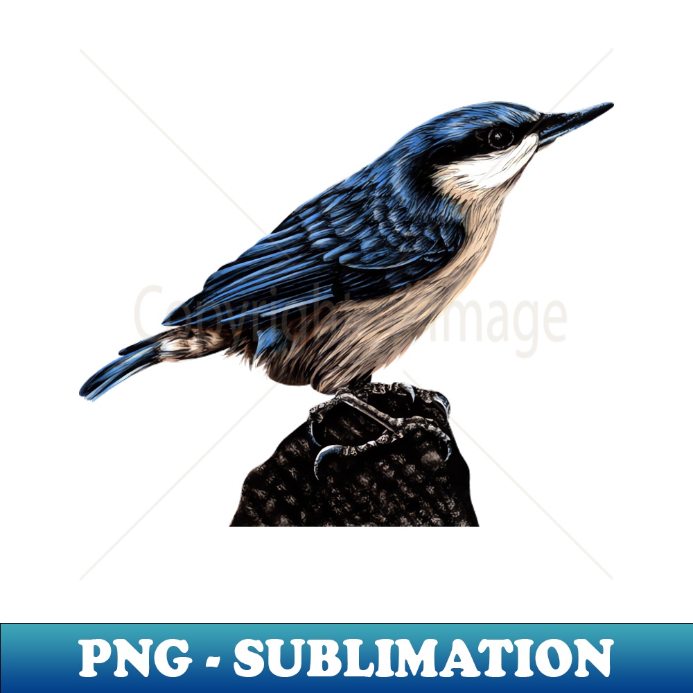 Eurasian nuthatch - PNG Transparent Sublimation Design - Enh - Inspire ...