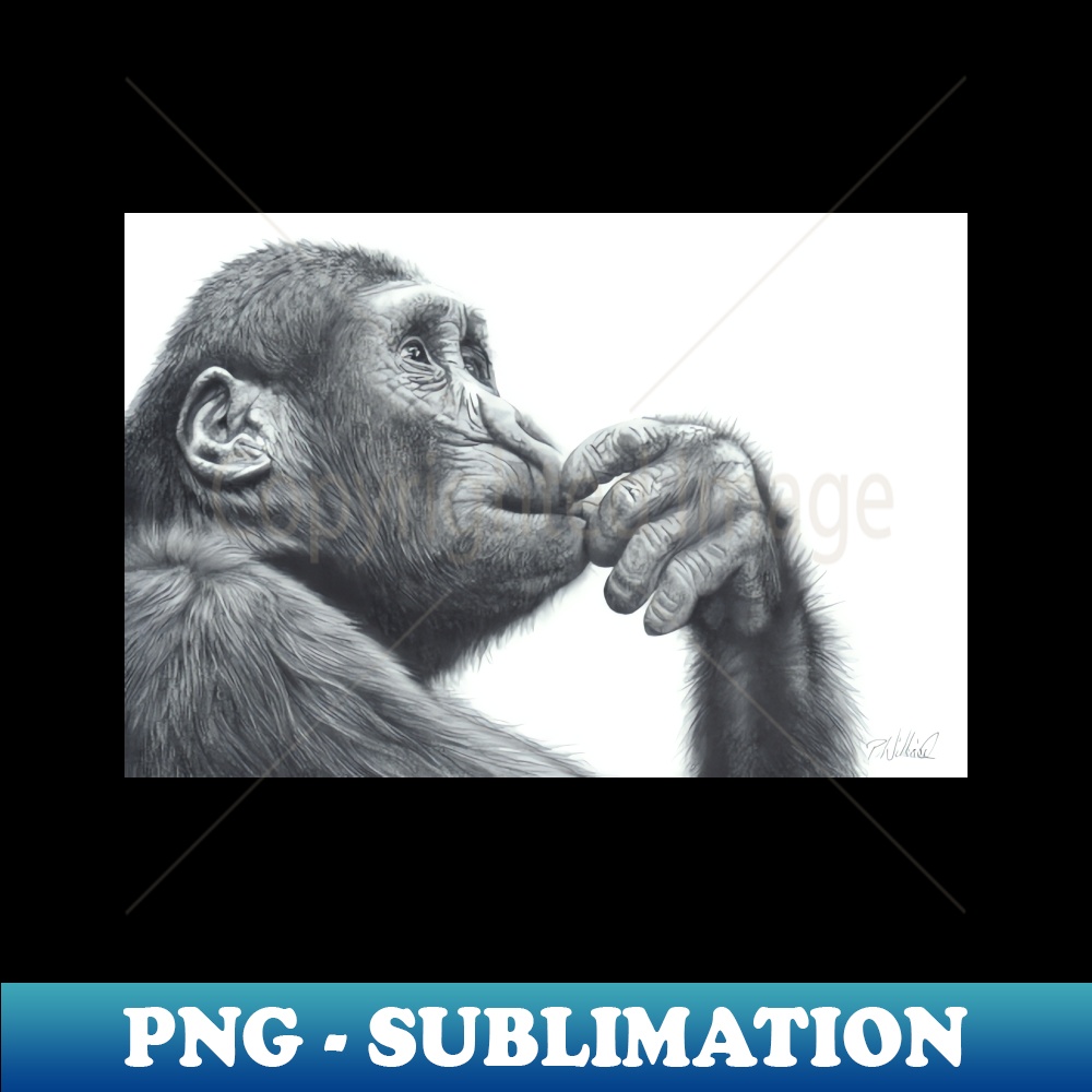 Brainstorm chimpanzee pencil drawing - Modern Sublimation PN | Inspire ...