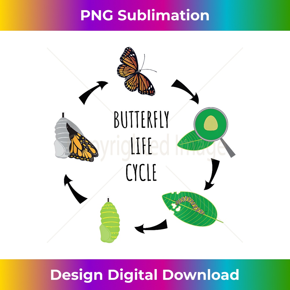 Caterpillar Butterfly Life Cycle Biology Science - Bohemian - Inspire ...
