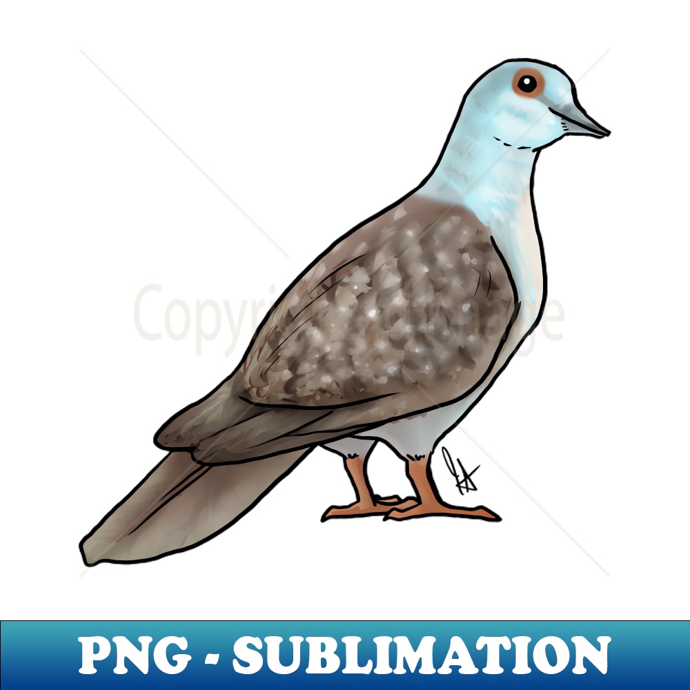 Bird - Dove - Diamond Dove - Special Edition Sublimation PNG | Inspire ...