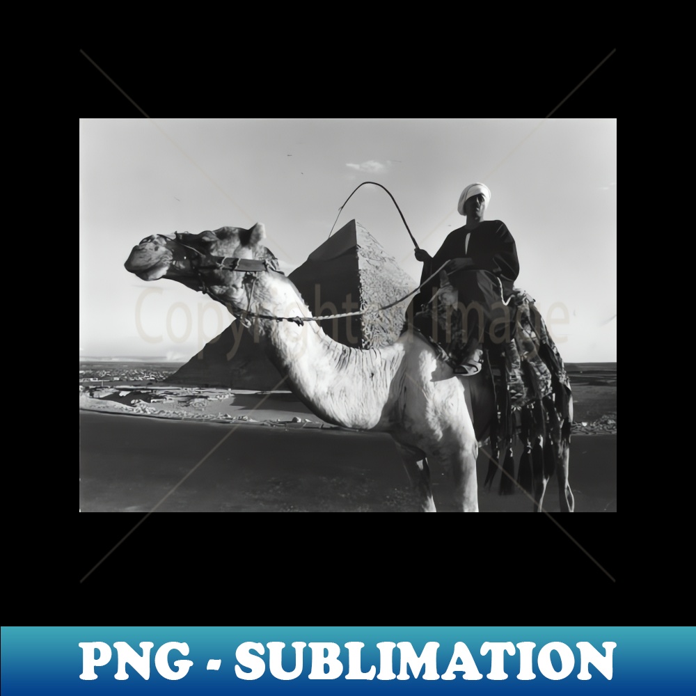 Camel at the Pyramids of Giza - Premium PNG Sublimation File - Inspire ...