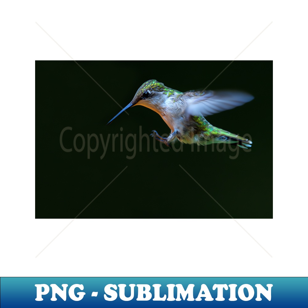 Incoming - Ruby-throated hummingbird - Retro PNG Sublimation | Inspire ...