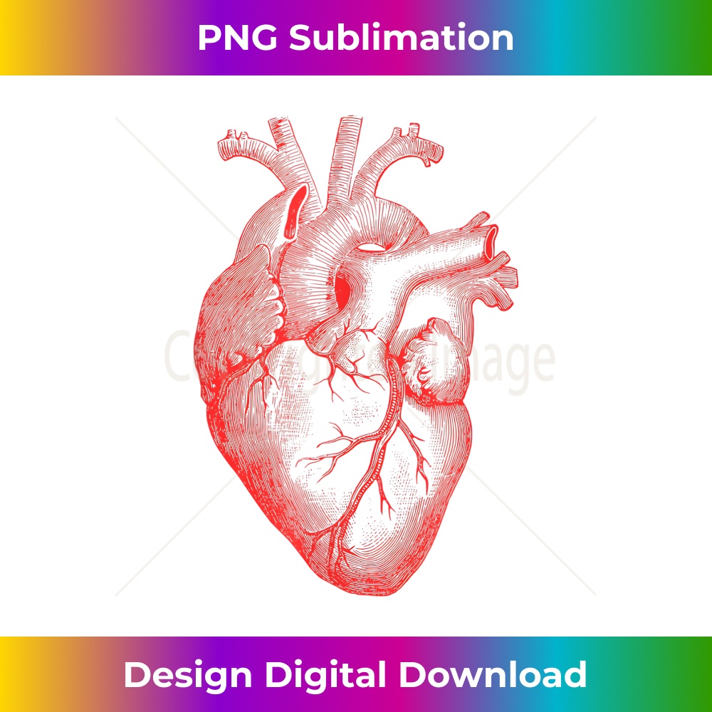 Anatomical Heart Dissection Scientific Biology Organ Study - | Inspire ...