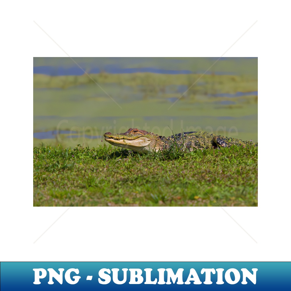 See ya later alligator - Aesthetic Sublimation Digital File | Inspire ...