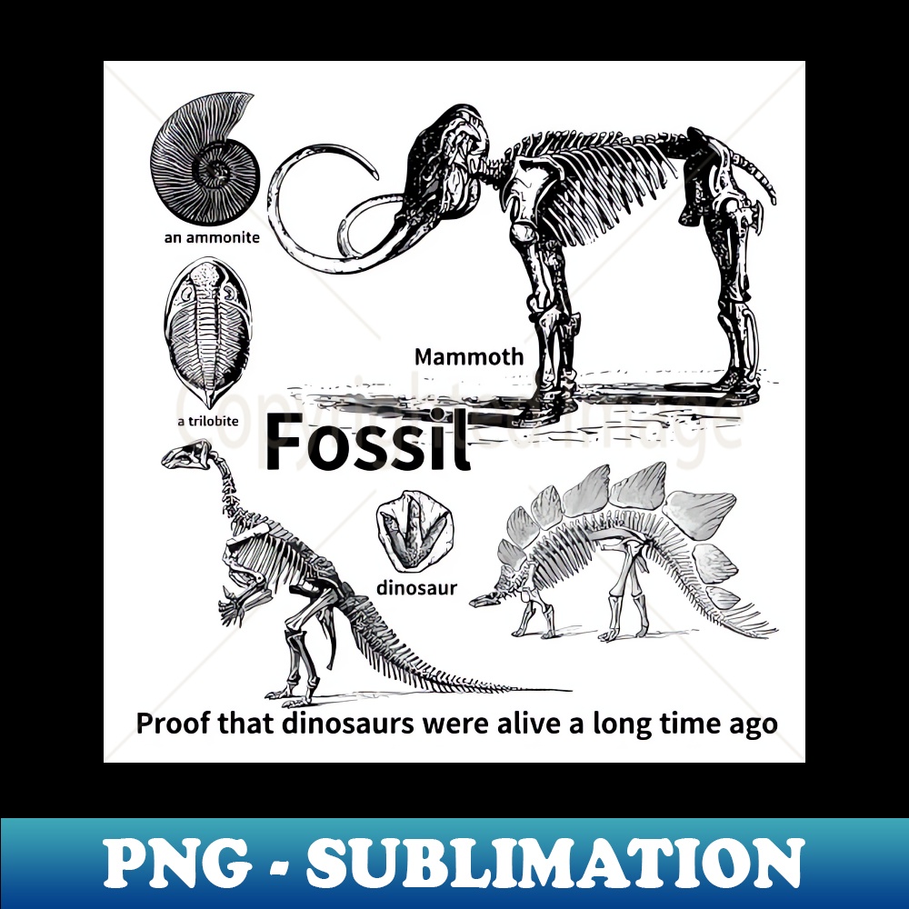 fossil Proof that dinosaurs were alive a long time ago dinos | Inspire ...