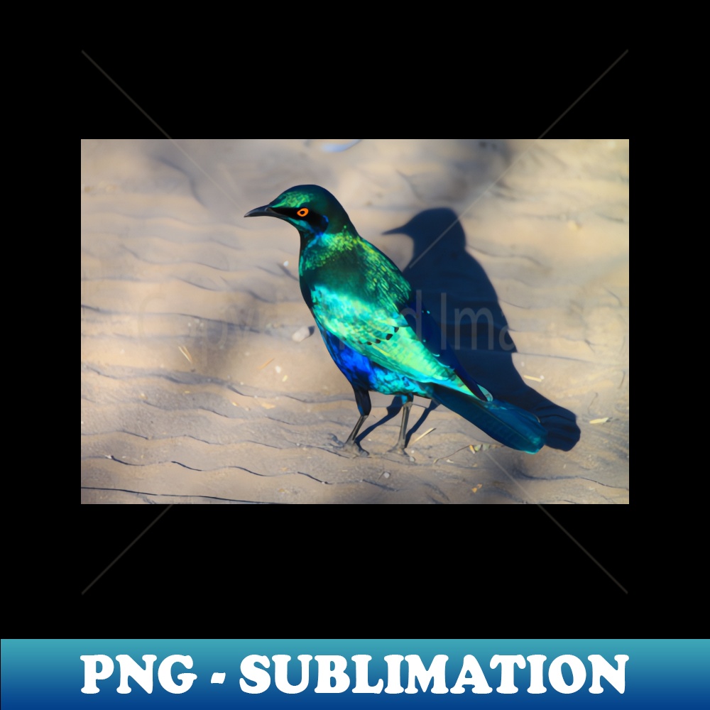 African Blue Starling Bird - Exclusive PNG Sublimation Downl | Inspire ...