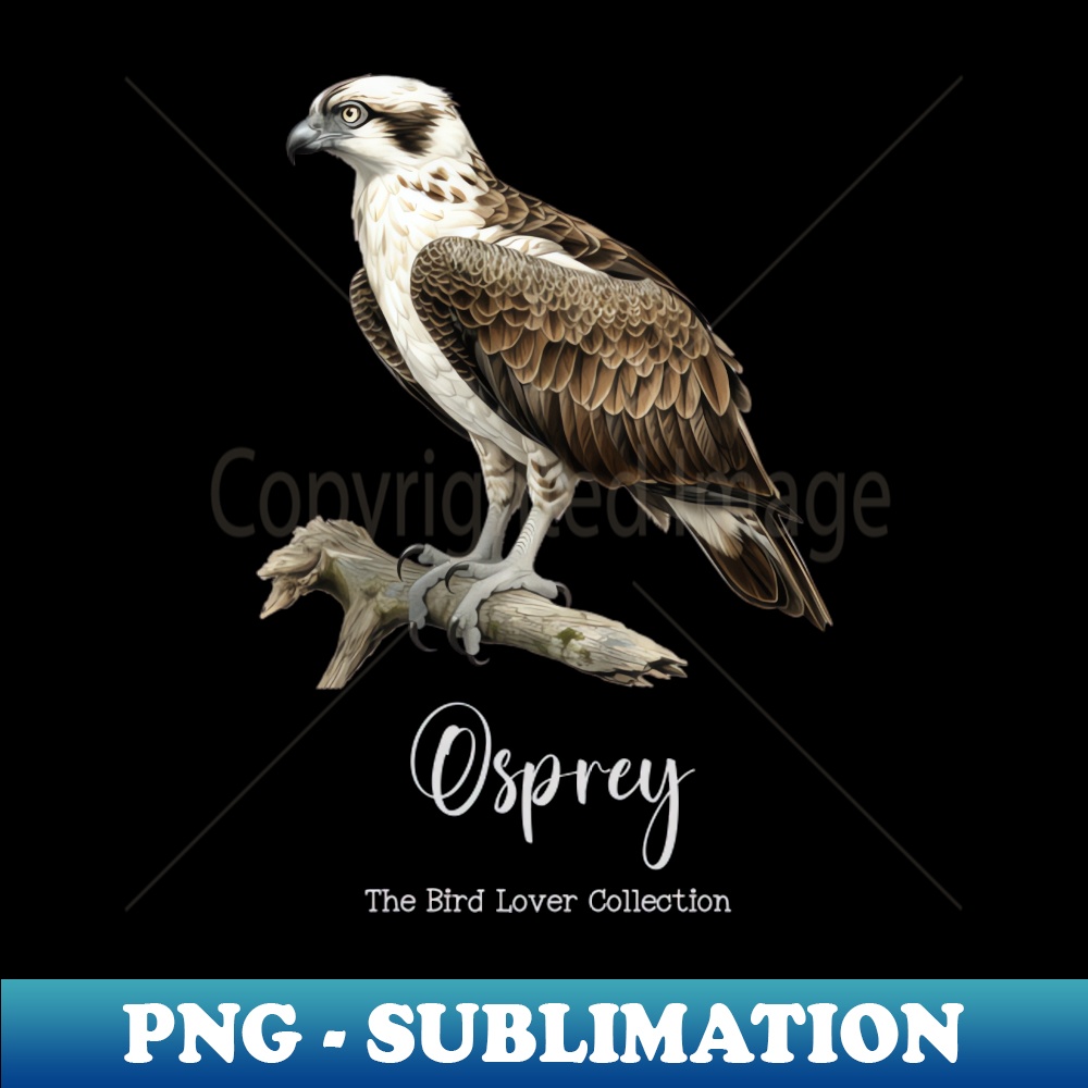 Osprey - The Bird Lover Collection - PNG Transparent Sublim | Inspire ...