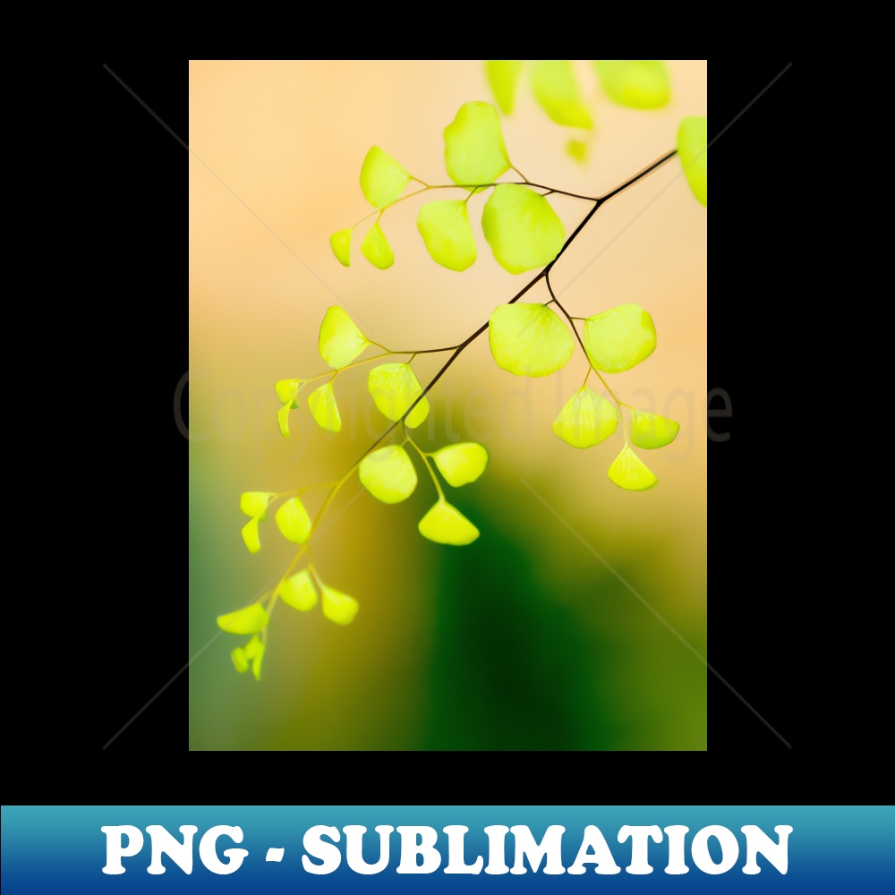 Maidenhair Fern - Professional Sublimation Digital Download - Inspire ...