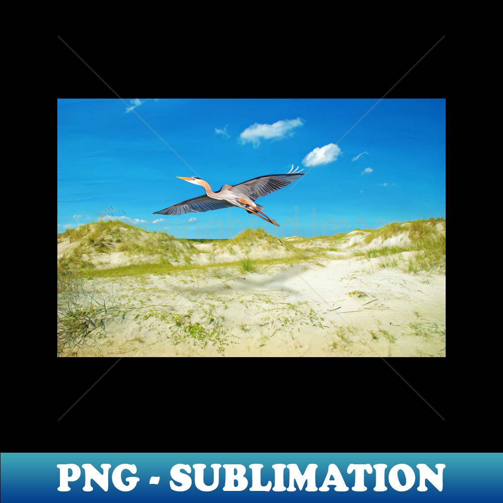 Great Blue Heron Flying Over Ocean Beach - Exclusive PNG Sub | Inspire ...