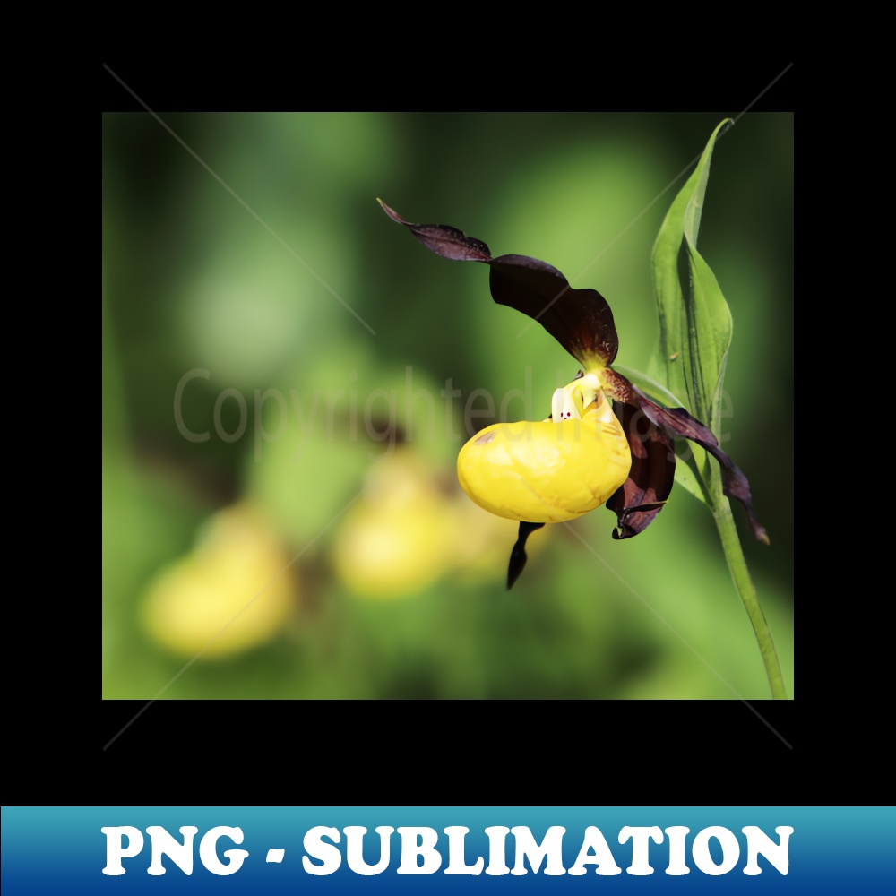 Picture of an iris just before full bloom - Premium Sublimat | Inspire ...