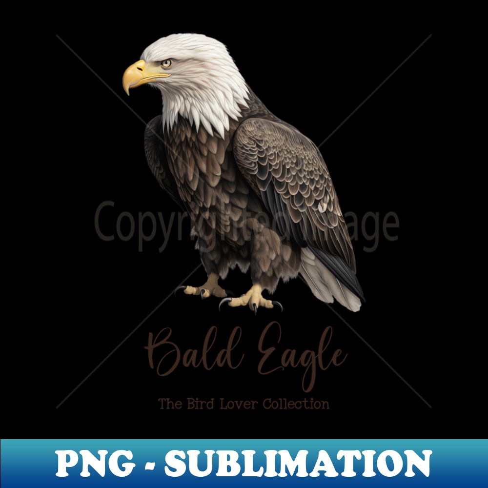 Bald Eagle - The Bird Lover Collection - High-Resolution PNG | Inspire Uplift
