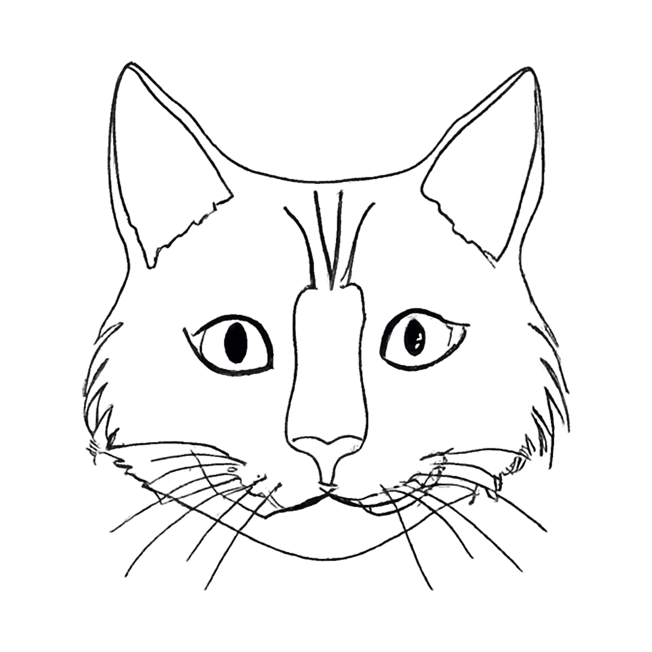 cat outline art | Inspire Uplift