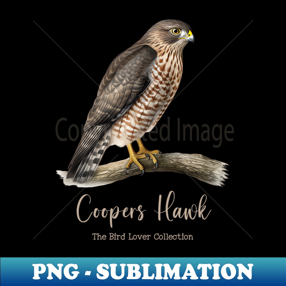 Coopers Hawk - The Bird Lover Collection - Premium PNG Subli - Inspire ...