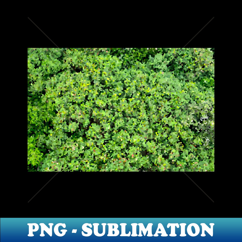 Birds Eye View of the Crystalized Trees - Cool Art - Exclusi | Inspire ...