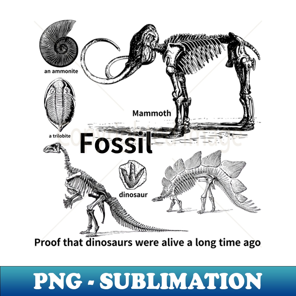 fossil Proof that dinosaurs were alive a long time ago dinos | Inspire ...
