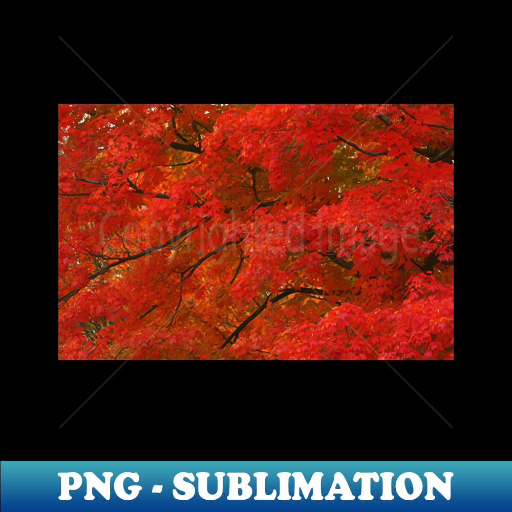 Maple Tree in Autumn - Special Edition Sublimation PNG File | Inspire ...