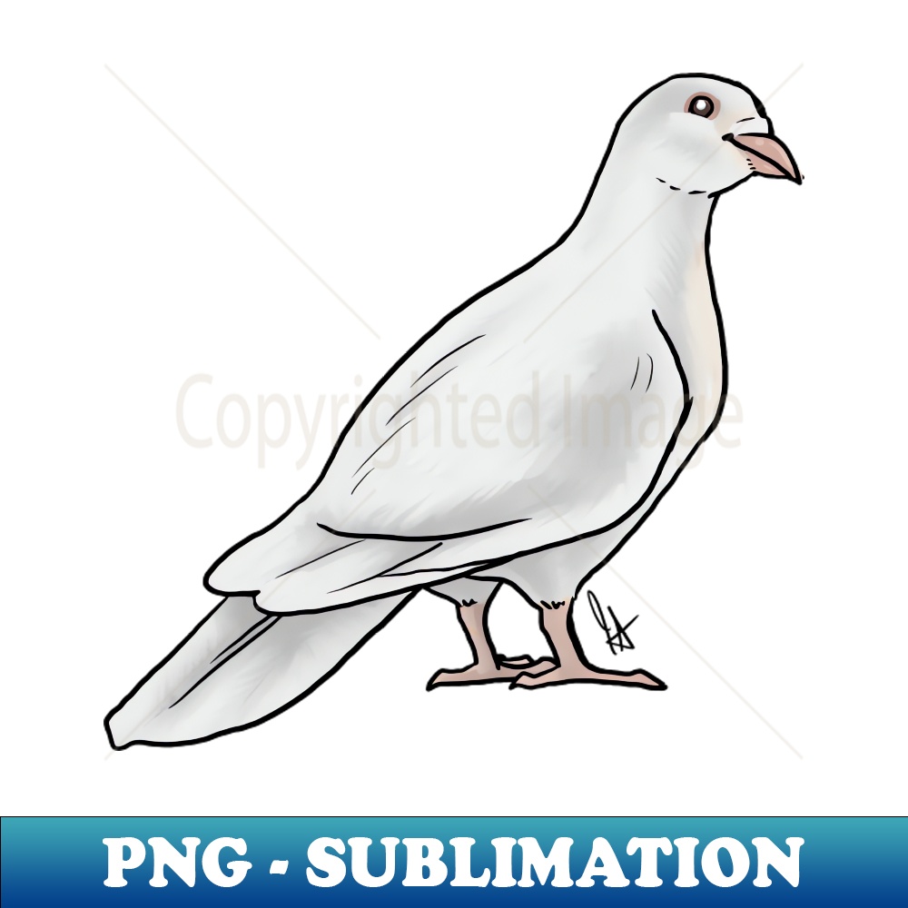 Bird - Dove - White Java Dove - Exclusive PNG Sublimation Do | Inspire ...