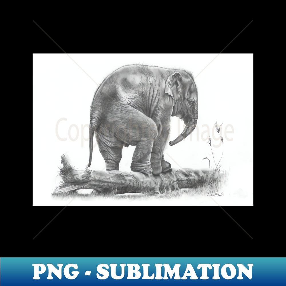 The Little Big Man - Elephant calf pencil drawing - Professi | Inspire ...