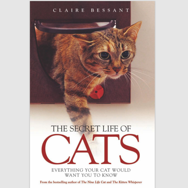 The Secret Life of Cats: Everything You Cat Would Want You t | Inspire ...