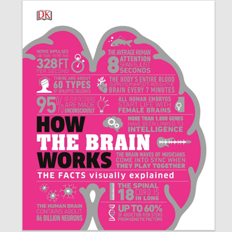 How the Brain Works: The Facts Visually Explained (DK How St | Inspire ...