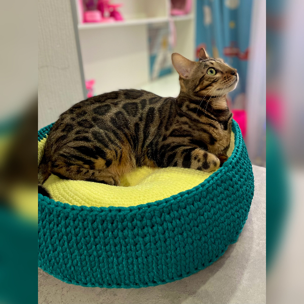 Bright Handmade Cat Bed: Cozy and Colorful Pet Lounger | Inspire Uplift