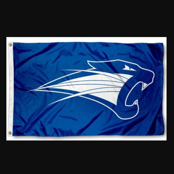 Saint Francis Cougars Flag 3x5ft Sports Banner Man-Cave Gara | Inspire ...