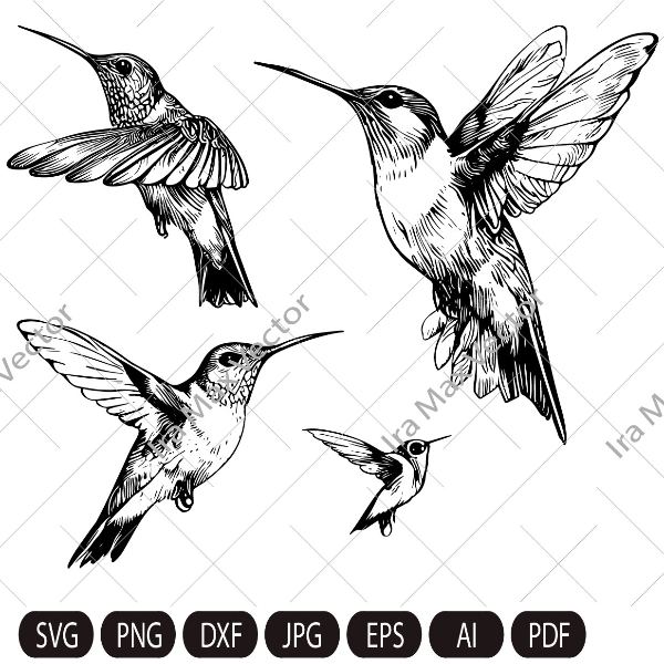 Hummingbird Svg, Hummingbird Clipart, Hummingbird set, Hummi | Inspire ...