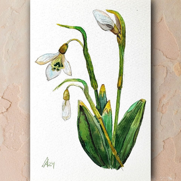 Snowdrop painting original watercolor art plant white flower | Inspire ...