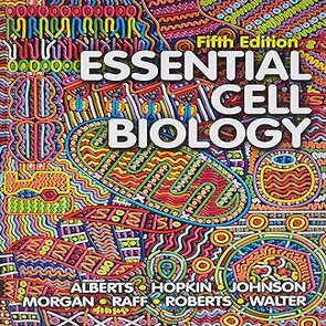 Essential Cell Biology Fifth Edition BY Bruce Alberts, Rebec - Inspire ...