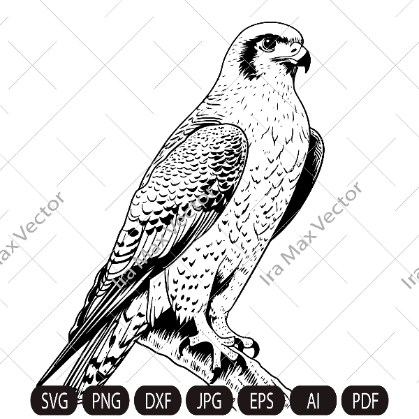 Falcon Svg, Falcon Clipart, Falcon Png, Falcon Head, Falcon | Inspire ...
