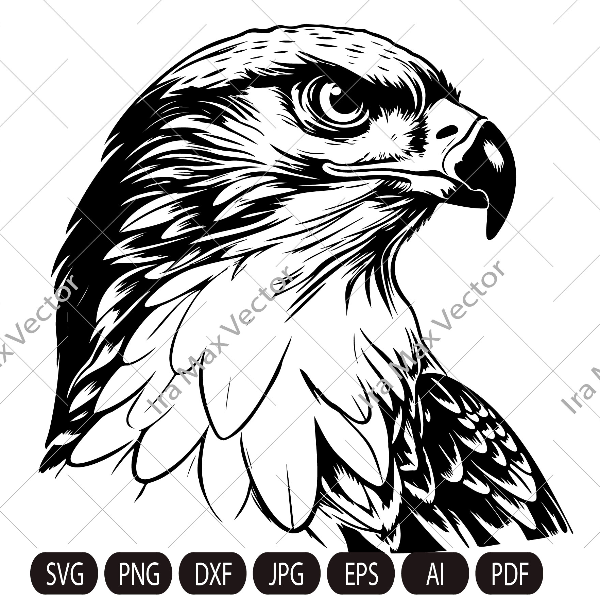 Falcon Svg, Falcon Clipart, Falcon Png, Falcon Head, Falcon - Inspire ...