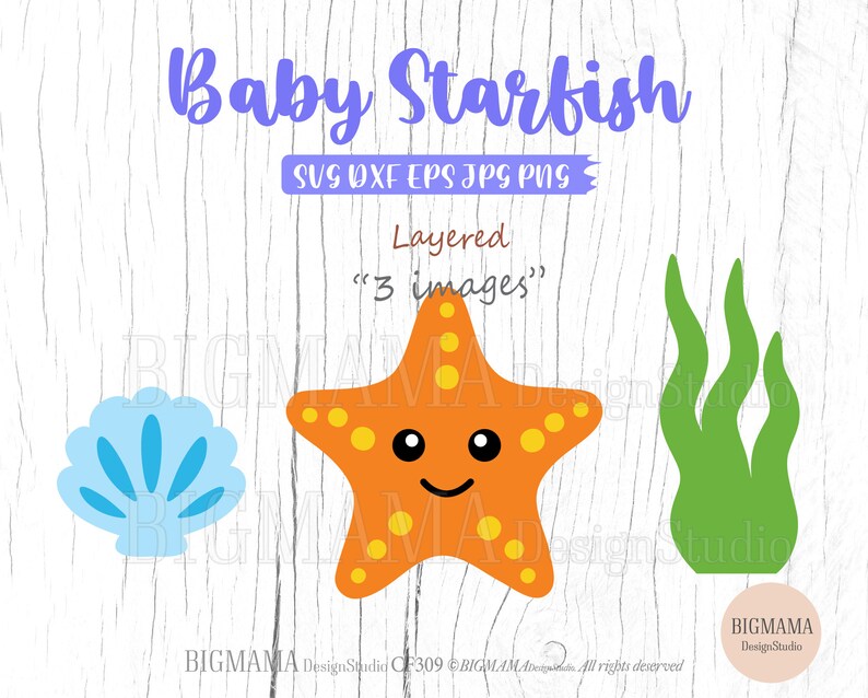 Cute Starfish SVG,Baby,Layered,DXF,Sea Animal,Birthday,Starf | Inspire ...