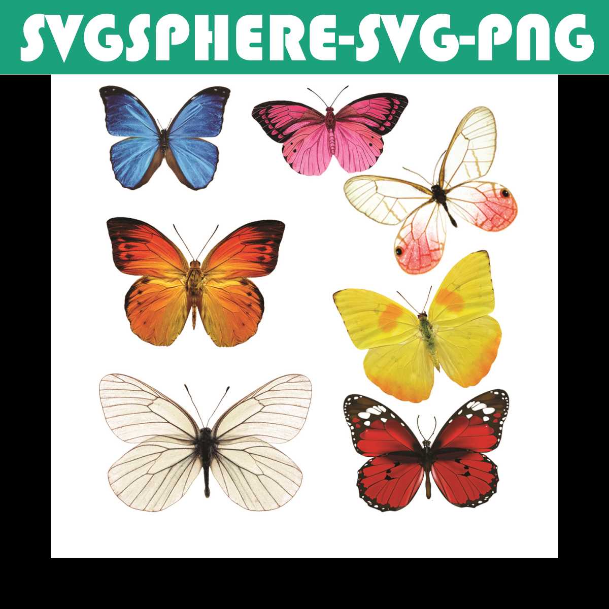 Butterfly Svg, Trending Svg, Colorful Butterfly Svg, Beautif | Inspire ...