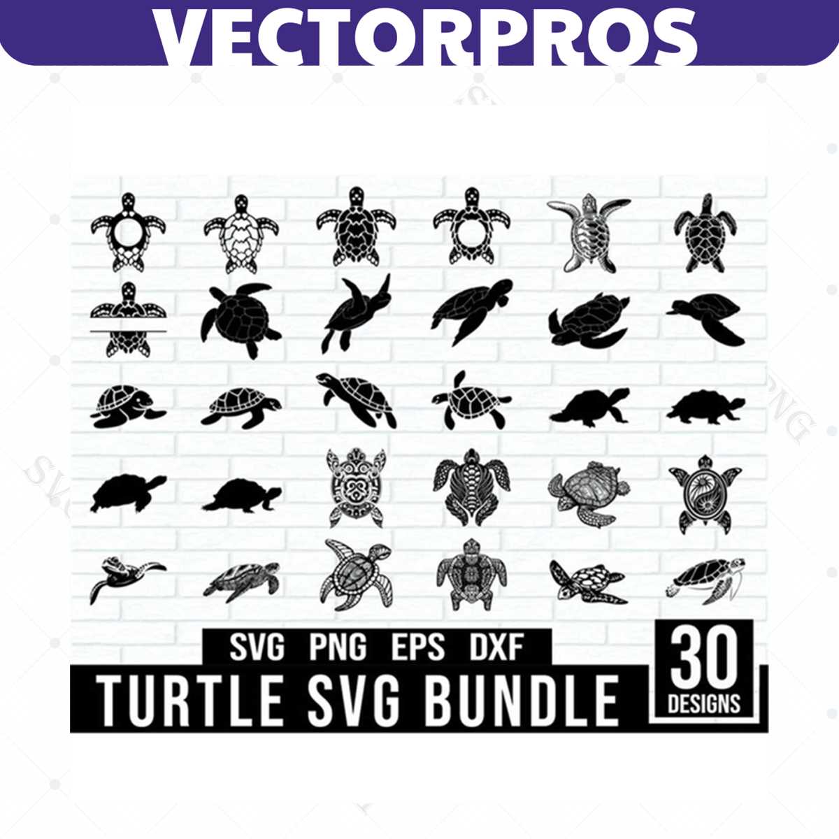 Turtle svg bundle , Sea Turtle Svg, Sea Turtle Png, Tortoise | Inspire ...