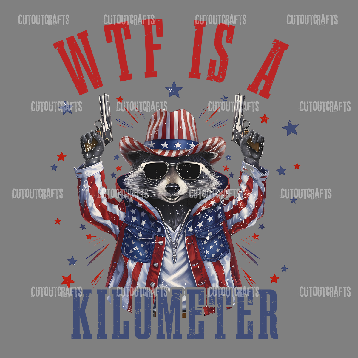 WTF Is A Kilometer Raccoon Meme PNG Digital Download Files | Inspire Uplift