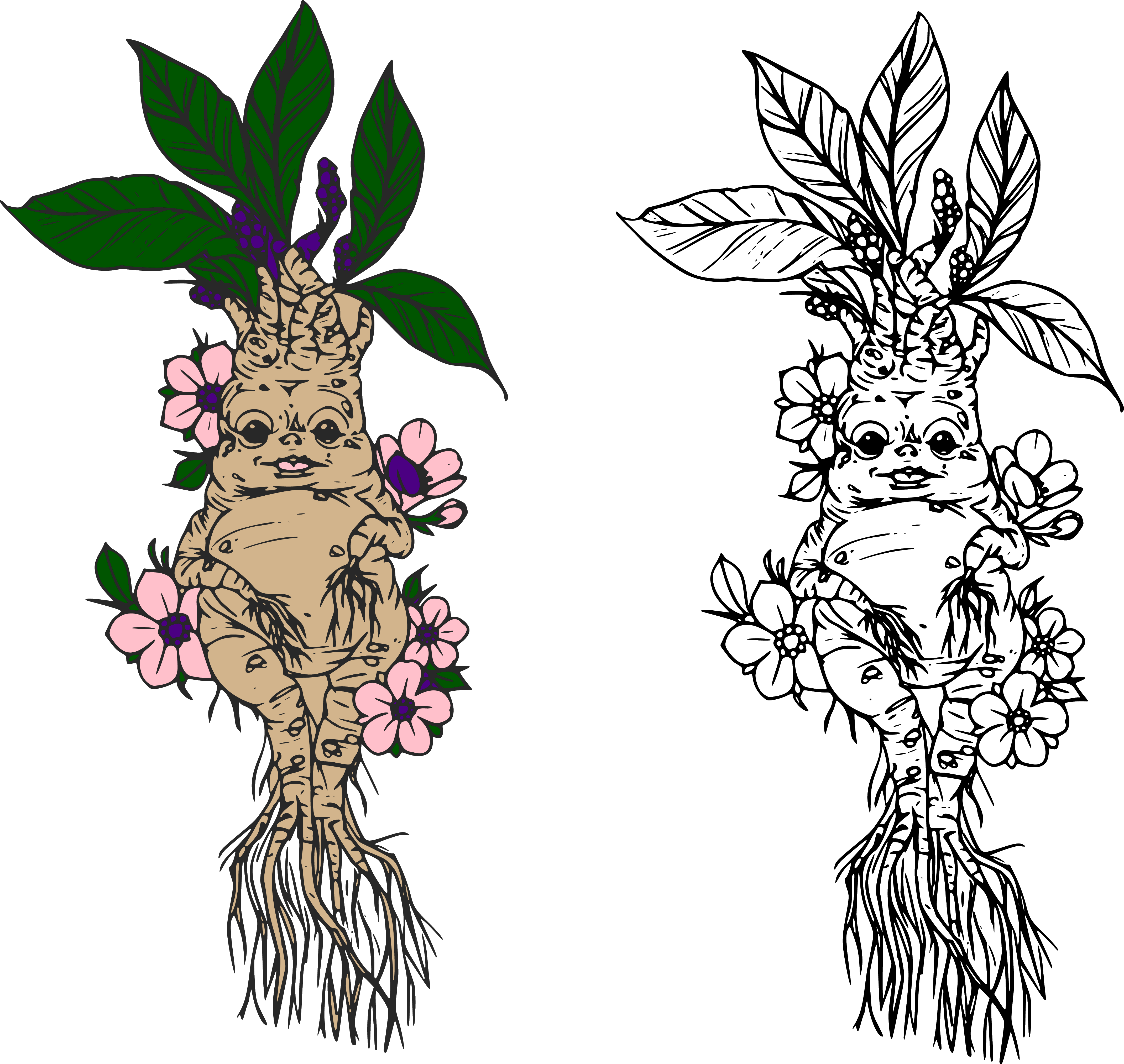 Mandrake with flowers Svg, Harry Potter Svg, Harry Potter Mo | Inspire ...