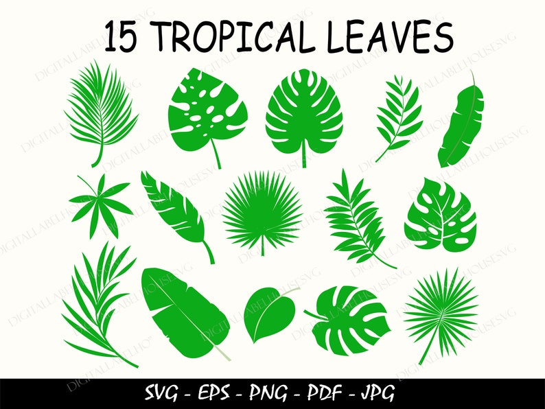 Tropical Leaves Svg Bundle, Tropical Leaf Svg, Palm Leaves S | Inspire ...
