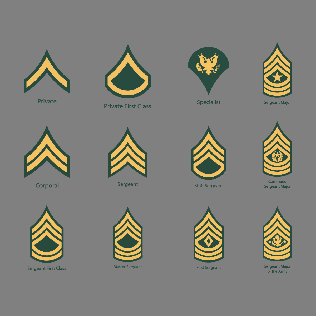 12 US Army Enlisted Rank Vectors ai Digital Download Files | Inspire Uplift