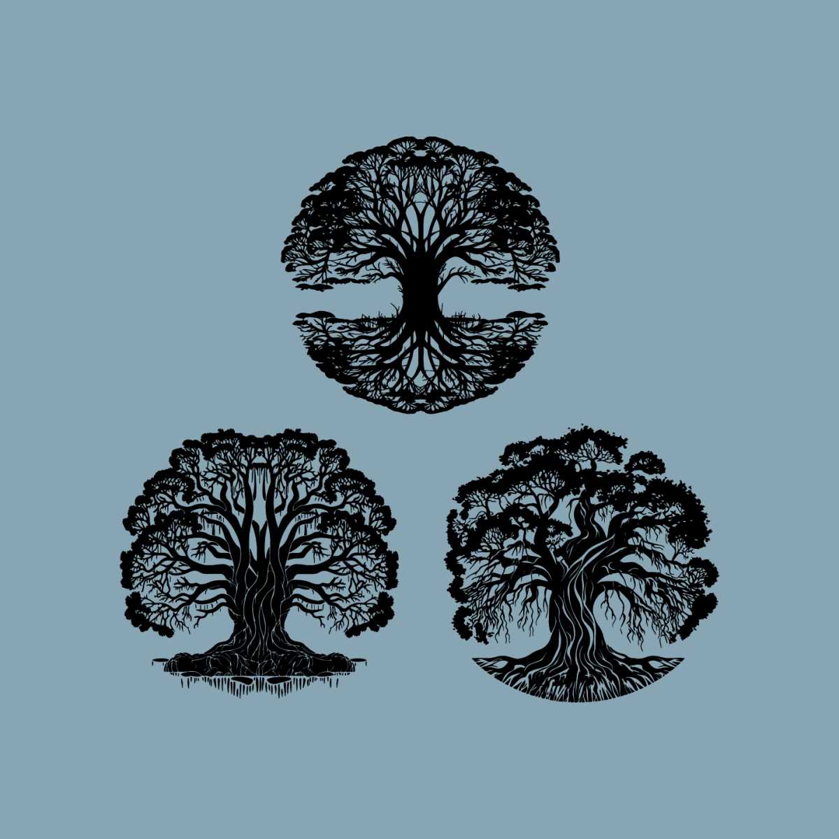 Balete Tree Ficus Sacred Fig Banyan, Epiphytic, Mysterious, - Inspire ...