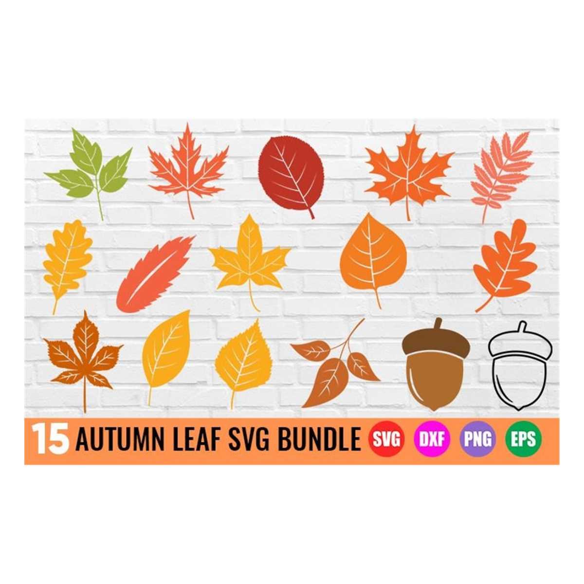 Autumn Leaf SVG Bundle Fall Leaf SVG - Inspire Uplift
