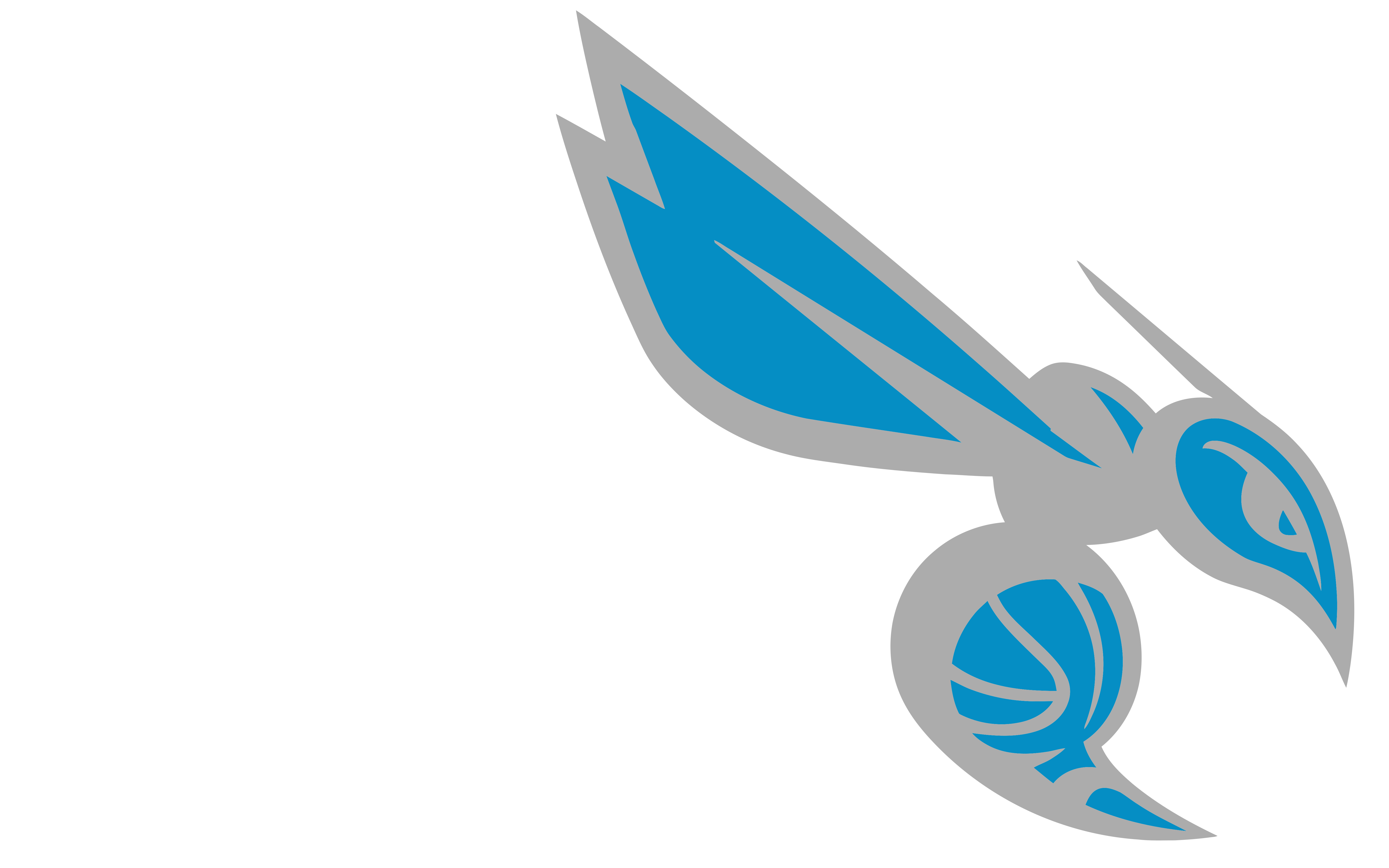 Charlotte Hornets svg, Charlotte svg, Hornets svg Logo for S | Inspire ...