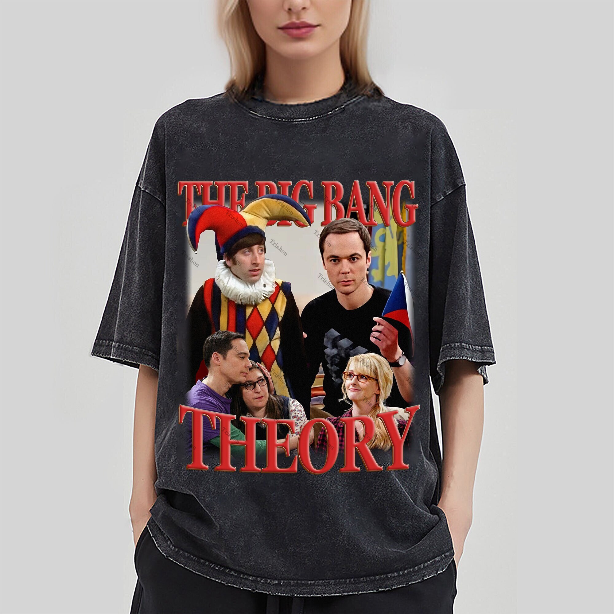 Retro The Big Bang Theory Washed Shirt, Sheldon Homage Grap | Inspire ...
