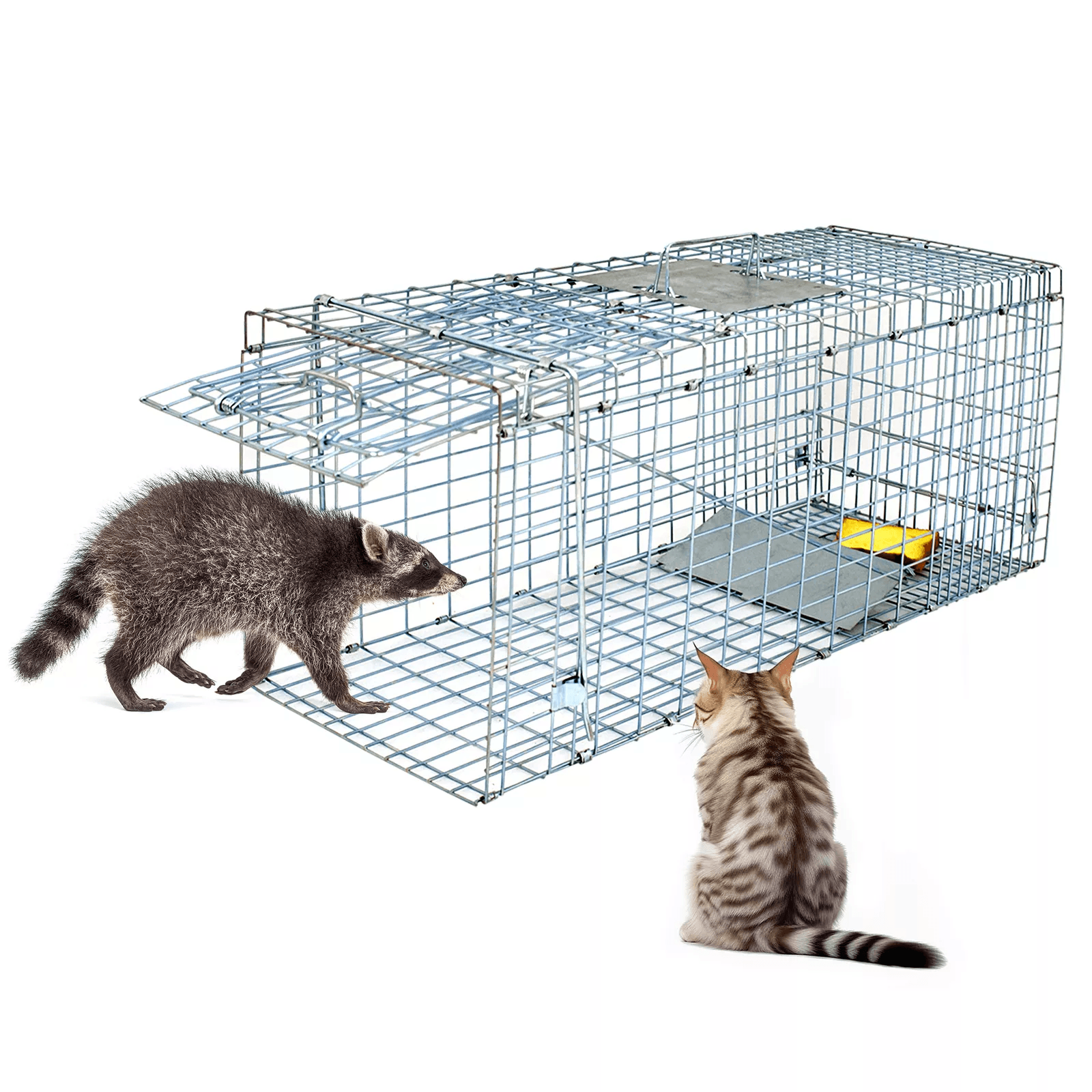 32" Heavy Duty Humane Live Animal Cage Trap | Inspire Uplift