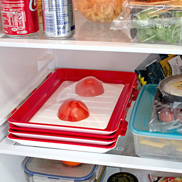 Eco-Friendly Food Preservation Trays | Inspire Uplift