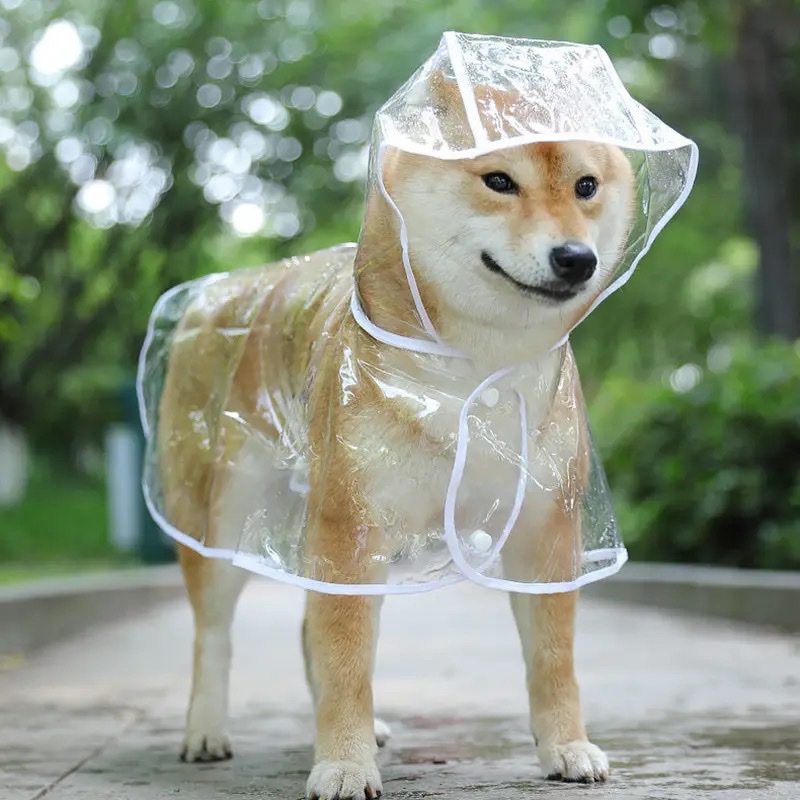 Transparent Dog Raincoat | Inspire Uplift