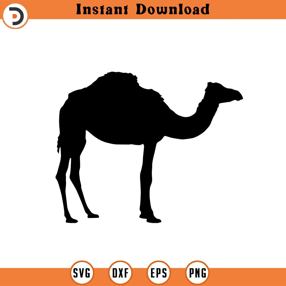 Camel svg, Animal SVG, svg, png, dxf, jpeg, Digital Download | Inspire ...