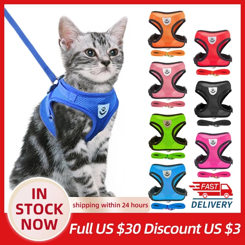 Adjustable Mesh Cat Harness Vest with Leash for Small to Med | Inspire ...