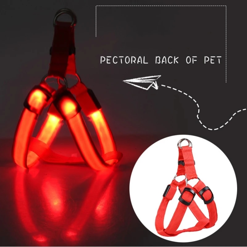 Nylon LED Pet Safety Harness Leash Set - Adjustable Flashing | Inspire ...
