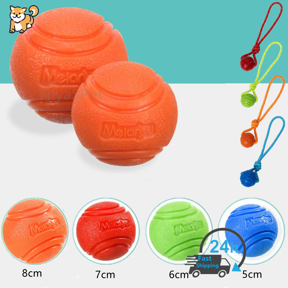 Indestructible Dog Ball Toy: Chew-Proof, Bouncy Rubber Ball | Inspire ...