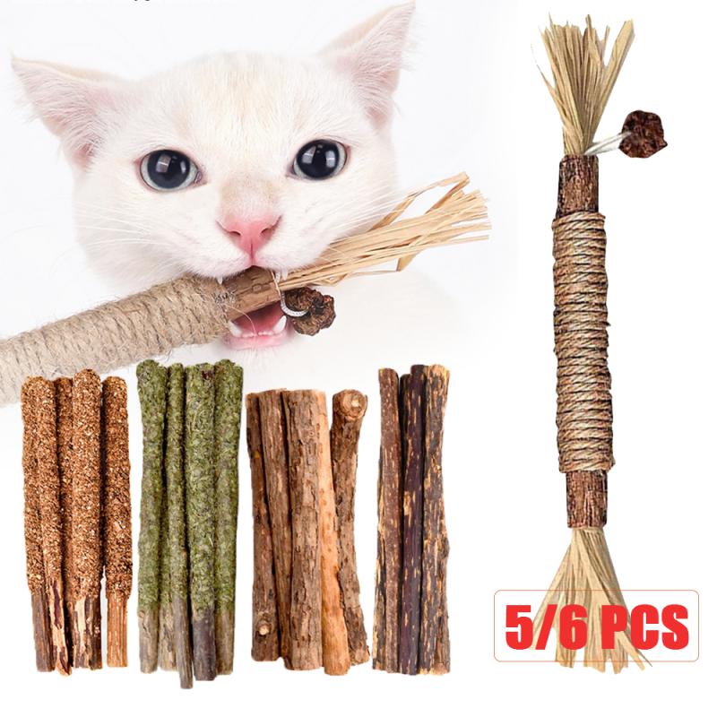 Natural Cat Mint Sticks: Chew Toys for Kittens, Pet Molar St | Inspire ...